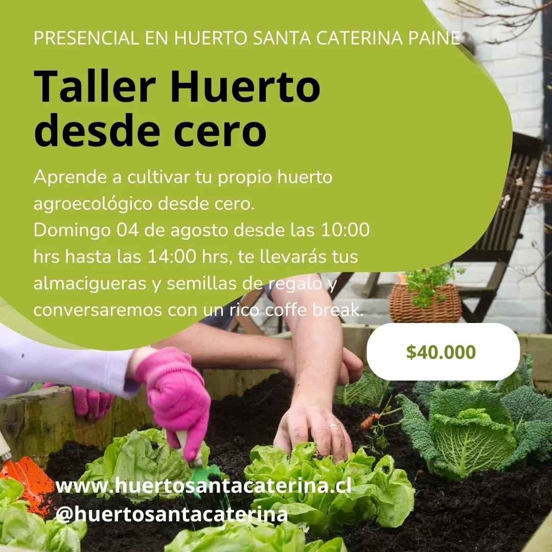 Cultivando Un Huerto Orgánico Everde: 7 Consejos Prácticos Para